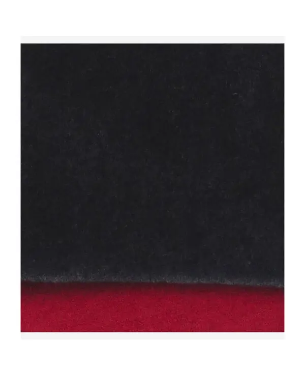 Faliero Sarti Printed Scarf