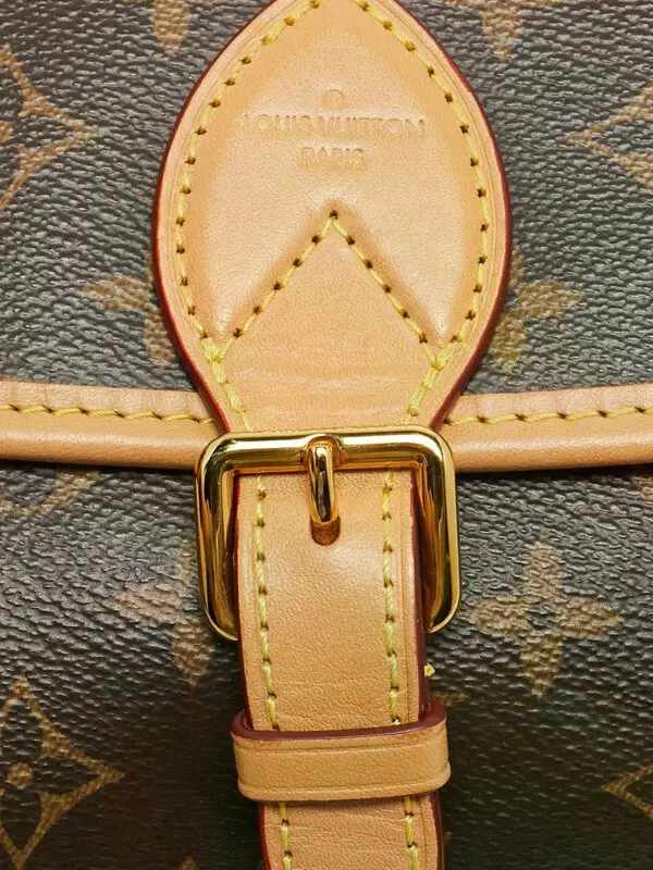 LOUIS VUITTON Diane Monogram Shoulder Bag