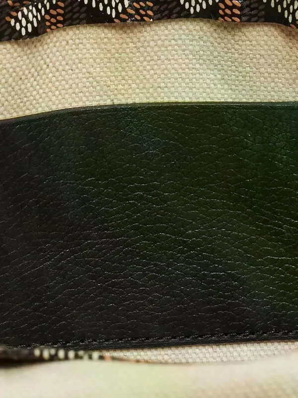Goyard 2020 Plumet Goyardine Canvas Cross Body Bag