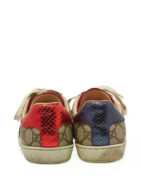 Gucci Ace Web Sneakers