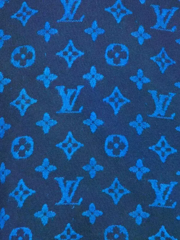 LOUIS VUITTON 2019 Monogram Jacquard Sweater