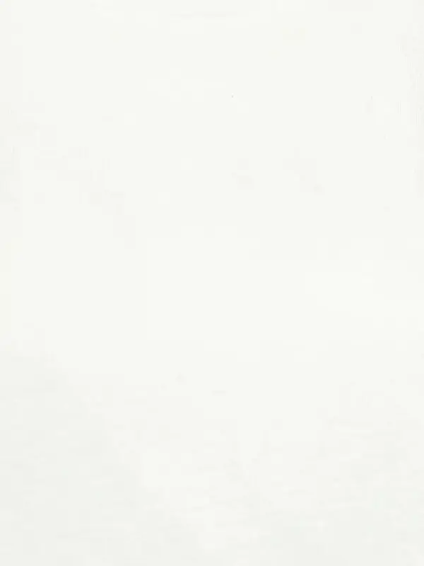 ISABEL MARANT VINTAGE Zinalia Cropped T-shirt