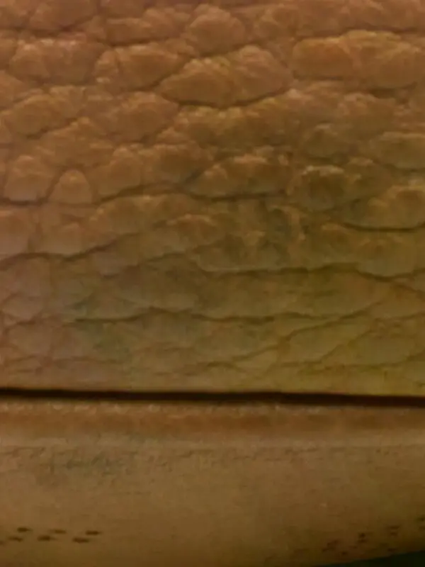 LOUIS VUITTON 2012 Gm Selene Mahina Handbag