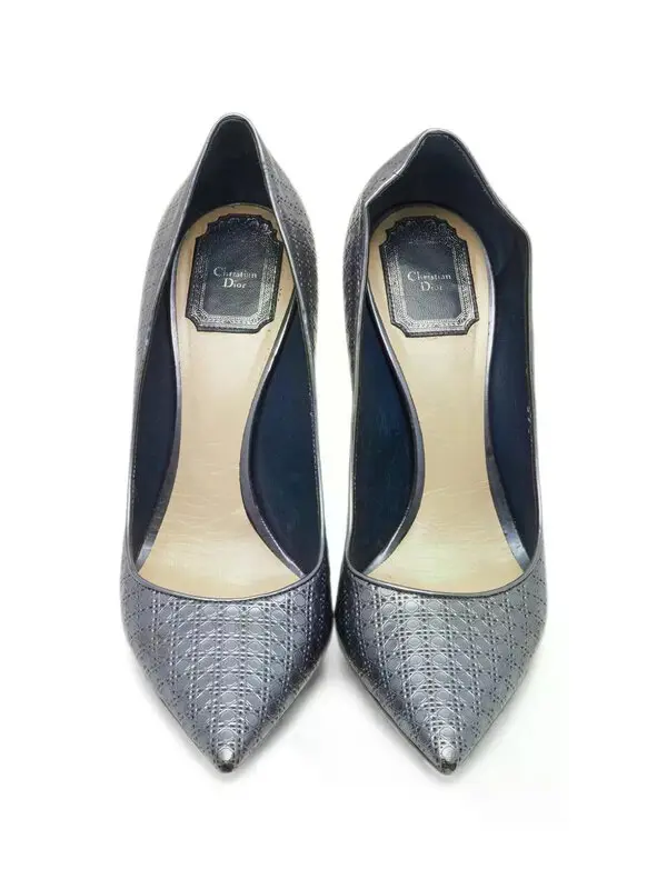Dior Cherie Pointed-toe Pumps