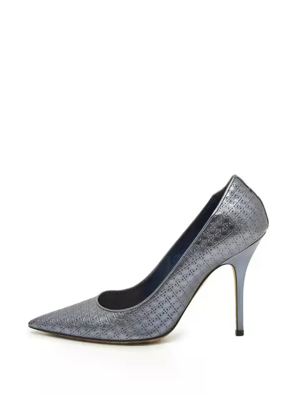 Dior Cherie Pointed-toe Pumps - Blue