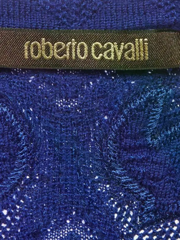Roberto Cavalli Embroidered Stretch-knit Mini Dress