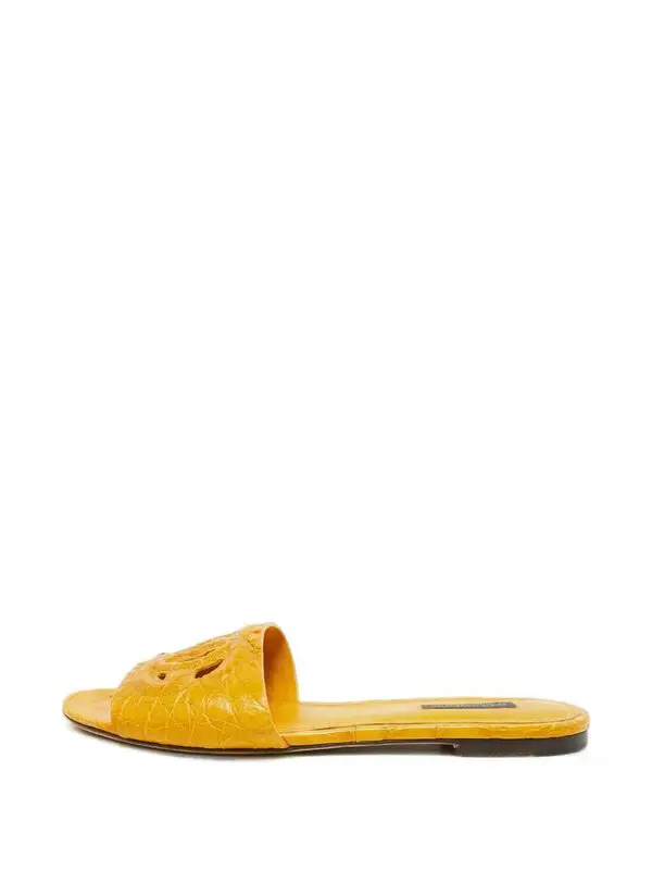 Dolce & Gabbana Dg-logo Croc-embossed Flat Sandals - Yellow