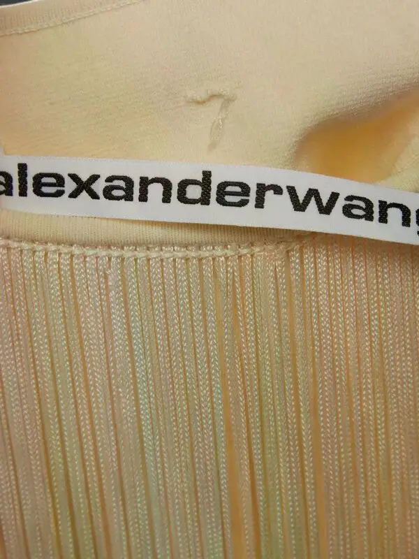 Alexander Wang Fringed Cropped Dress
