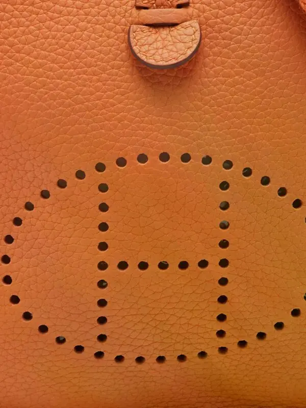 Hermès 2023 Evelyne Amazone Tpm Crossbody Bag