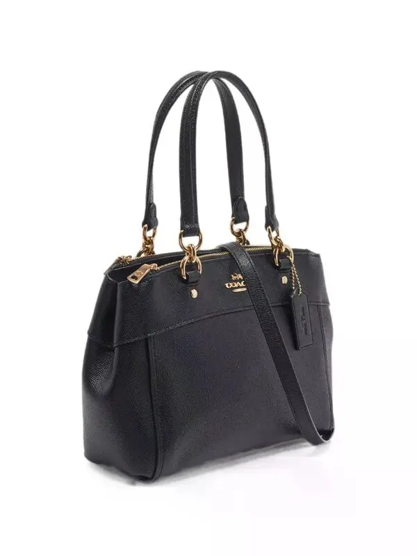 COACH Mini Brooke Carryall Leather Tote Bag