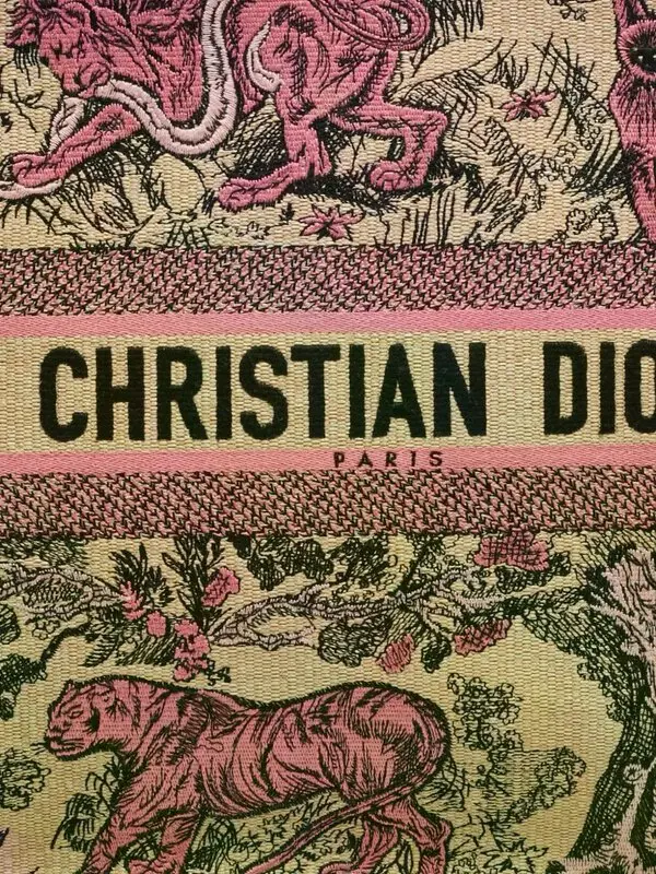 Dior 2024 Toile De Jouy Book Tote Bag