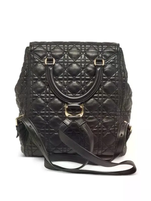 Dior Stardust Cannage Backpack