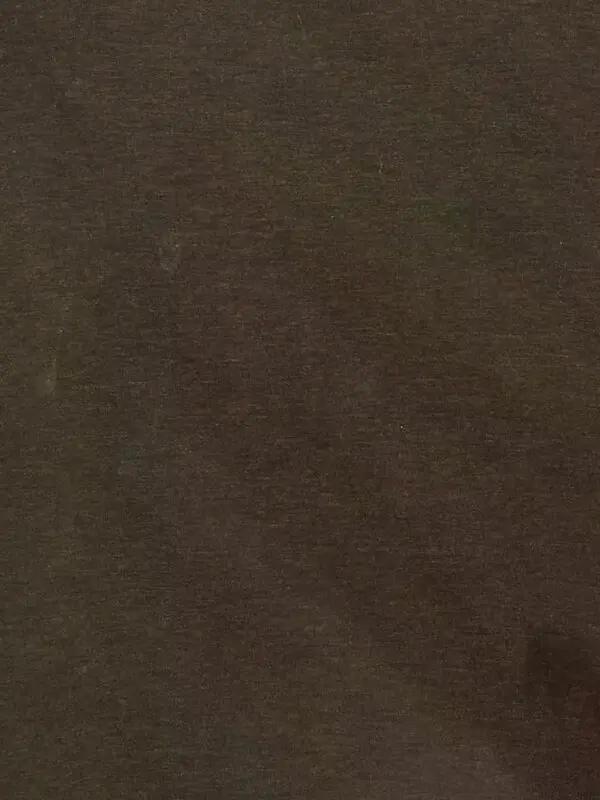 Max Mara Cotton Top