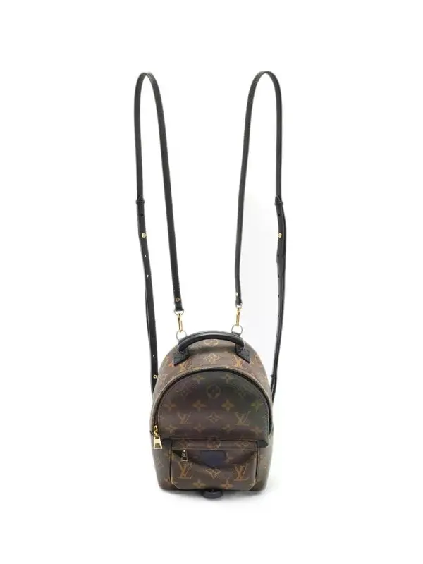 LOUIS VUITTON 2019 Palm Springs Monogram Backpack