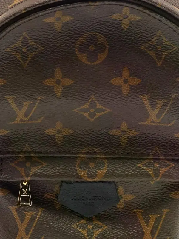 LOUIS VUITTON 2019 Palm Springs Monogram Backpack