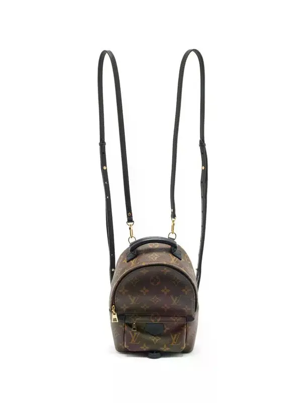 LOUIS VUITTON Palm Springs Monogram Backpack - Brown