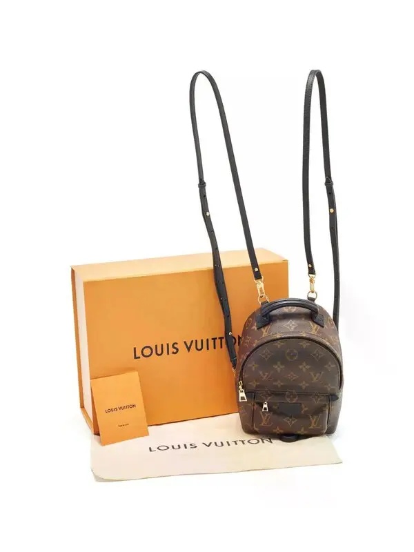 LOUIS VUITTON Palm Springs Monogram Backpack - Brown