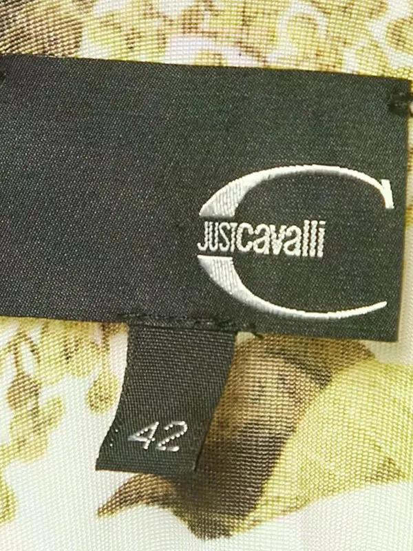 Just Cavalli Draped Leaf-print Dress