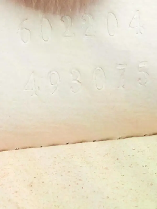 Gucci 1955 Medium Shoulder Bag - Neutrals