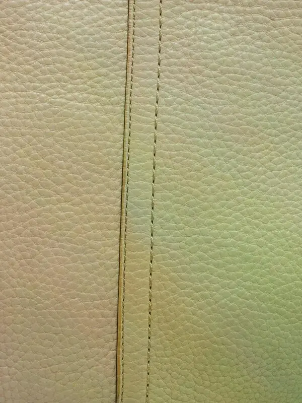 COACH Soho Shoulder Bag