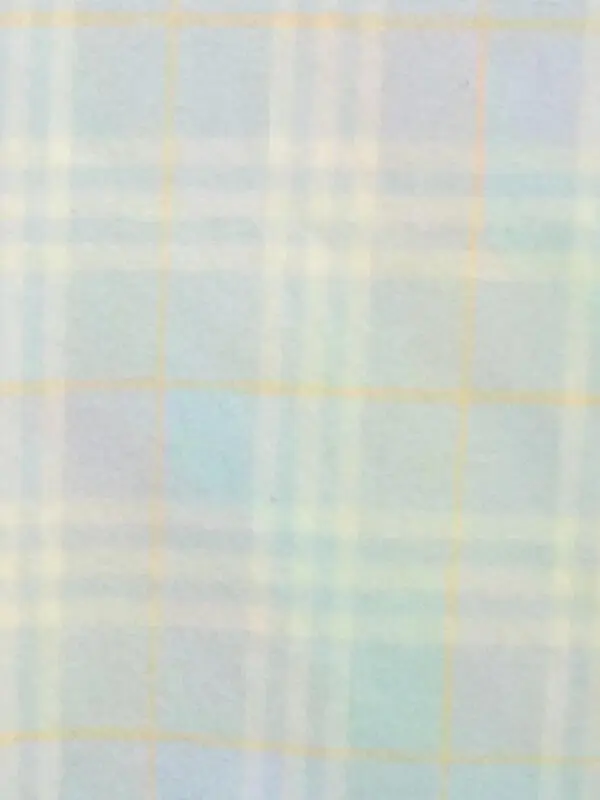 Burberry Checked-pattern Fringed-trim Scarf