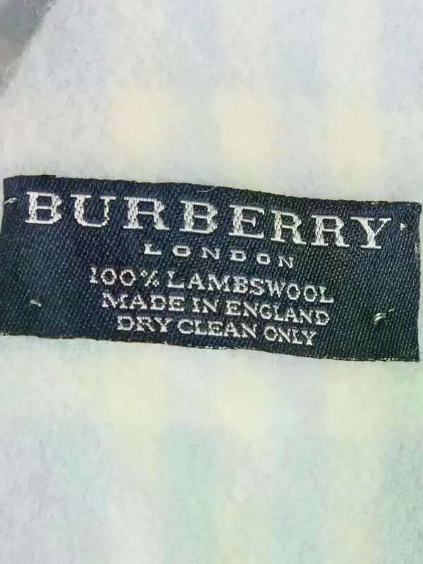Burberry Checked-pattern Fringed-trim Scarf