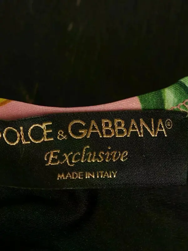 Dolce & Gabbana Lemon-print Sports Bra