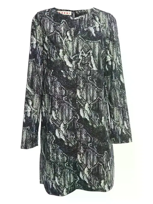 Marni Abstract Print Mini Dress