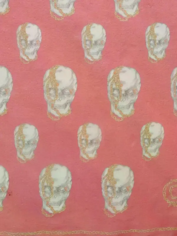 Alexander McQueen Skull-print Silk Scarf