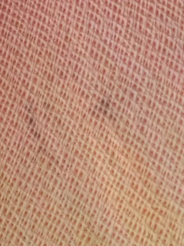 LOUIS VUITTON 2018 Zippy Damier Ebene Wallet - Brown