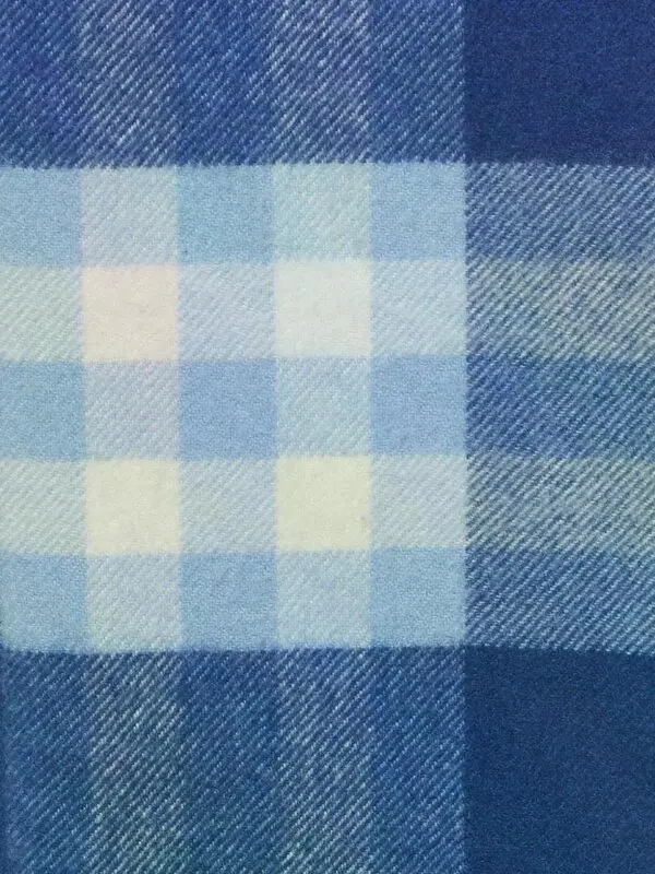 Burberry Checked Fringed Scarf