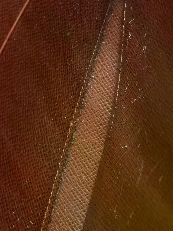 LOUIS VUITTON Sarah Monogram Wallet - Brown