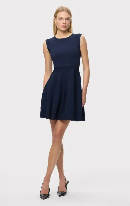 Herve Leger Anna Dress