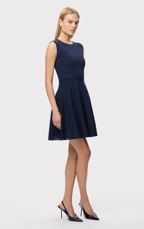 Herve Leger Anna Dress