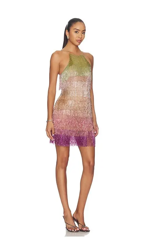 For Love & Lemons Tropic Crush Mini Dress In Multi