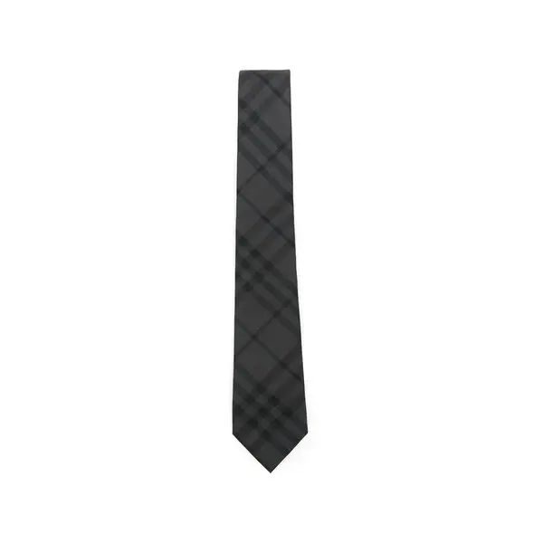 Burberry Grey Ties & Bow Ties - Gray