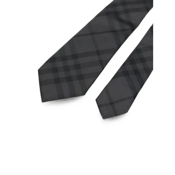 Burberry Grey Ties & Bow Ties