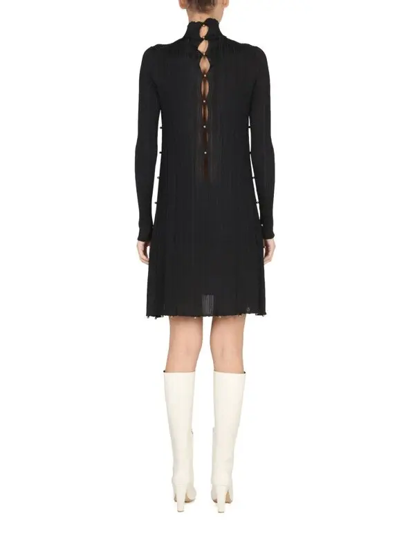 Bottega Veneta High Neck Pleated Dress