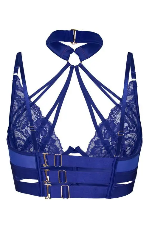 Hunkemoller Emmeline Choker Longline Underwire Bra