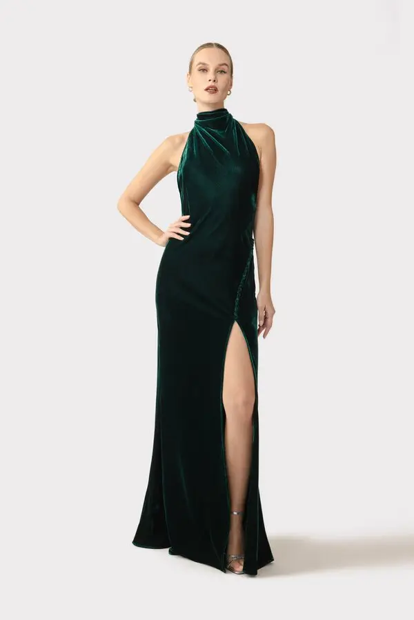 SAU LEE Penelope Velvet Gown