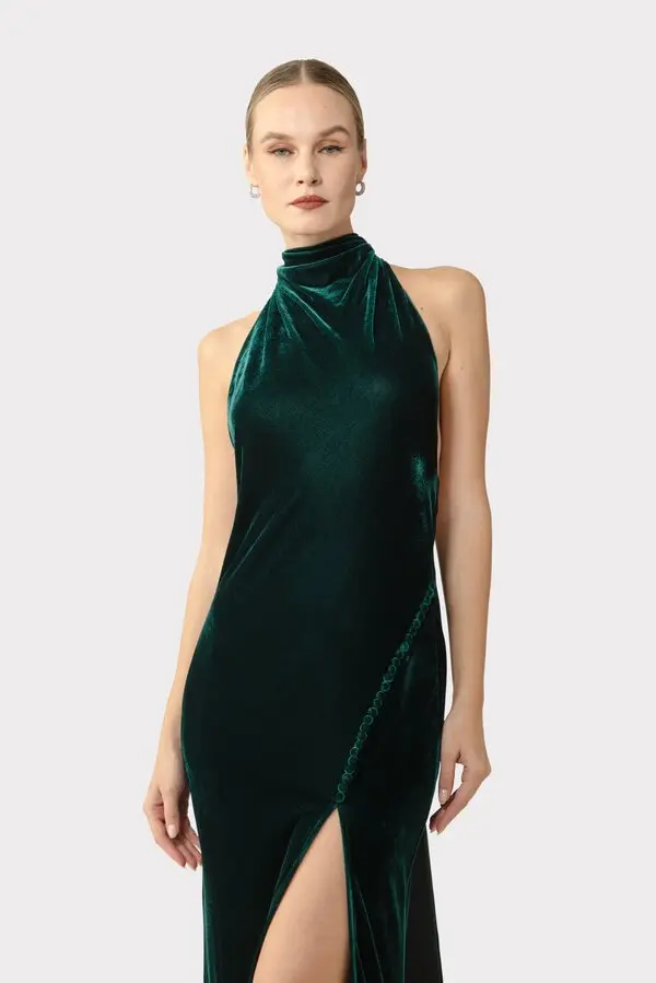 SAU LEE Penelope Velvet Gown