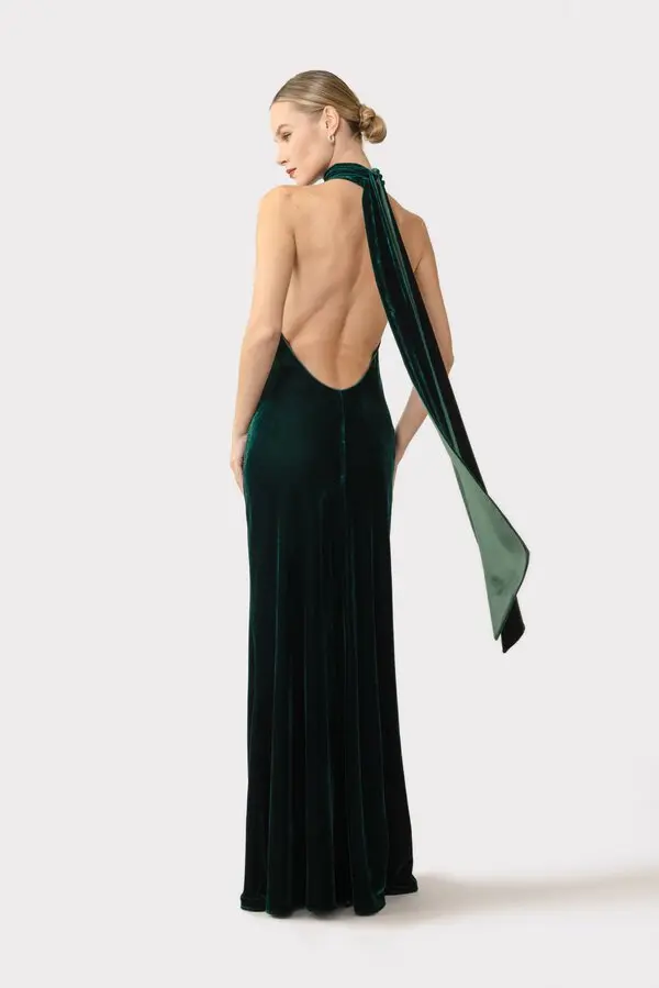 SAU LEE Penelope Velvet Gown