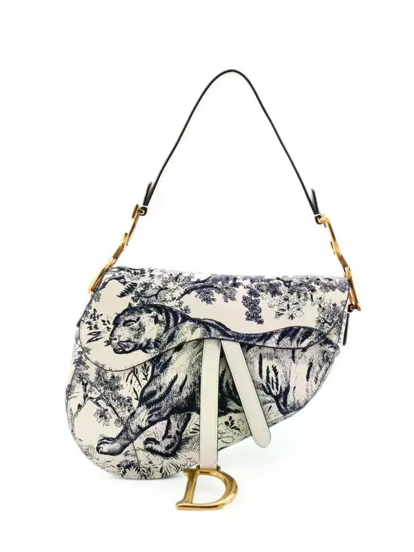 Dior Toile De Jouy Saddle Bag Embroidered Leather Medium Shoulder Bag - Blue