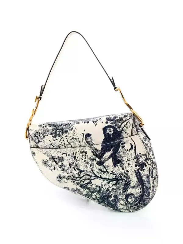 Dior Toile De Jouy Saddle Bag Embroidered Leather Medium Shoulder Bag - Blue