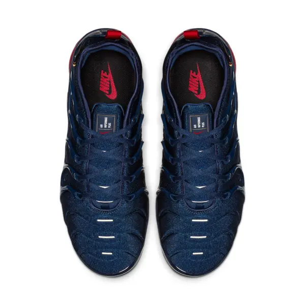 Nike Air Vapormax Plus Shoes