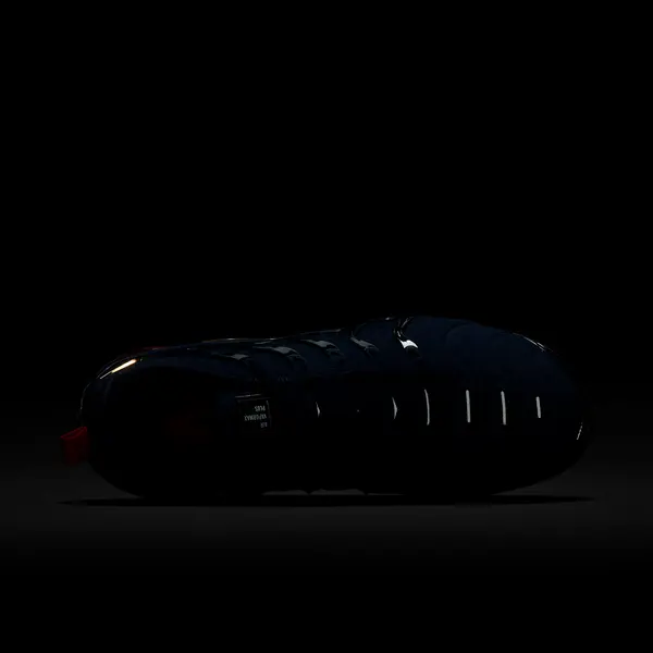 Nike Air Vapormax Plus Shoes