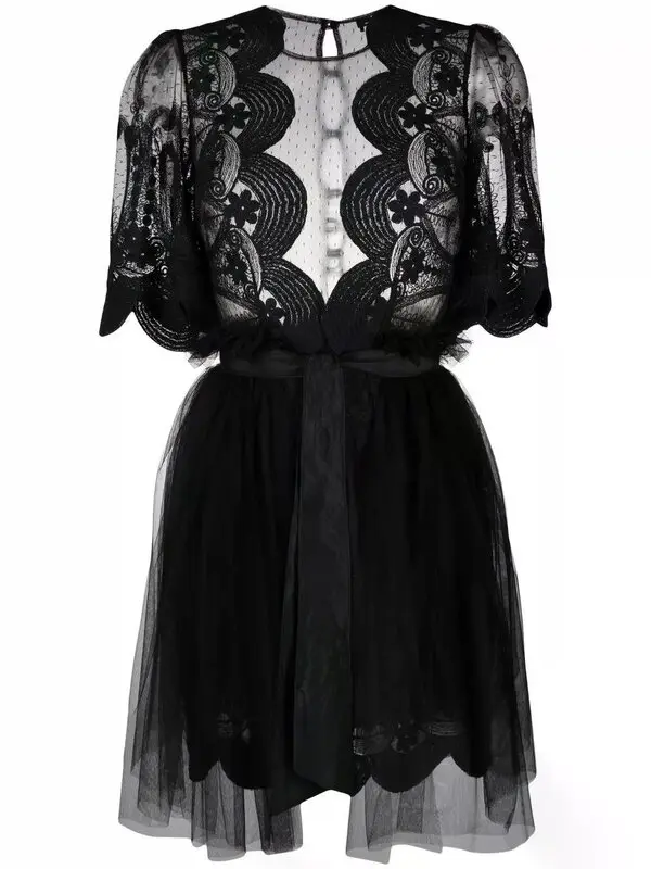 Elisabetta Franchi Lace-panelled Tulle Mini Dress