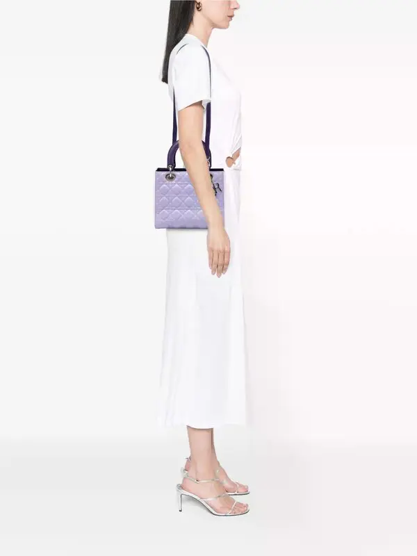 Dior Medium Tricolor Lambskin Cannage Lady Satchel - Purple