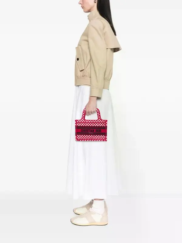 Dior Dioramour Mini Embroidered Canvas Dots Book Tote Bag