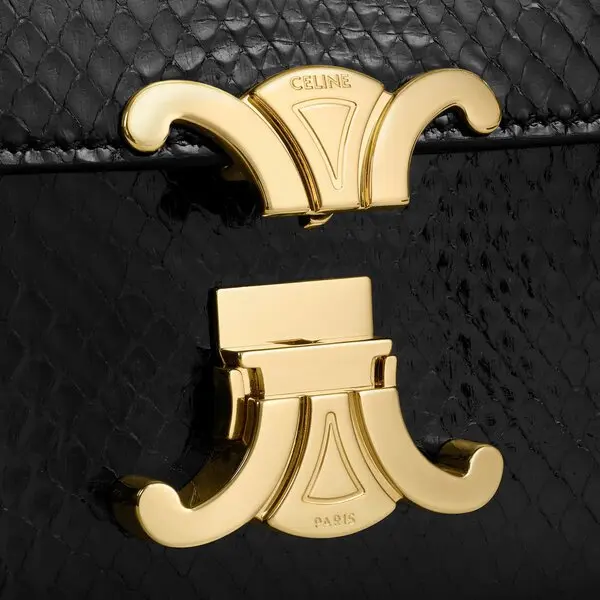 Celine Small Chain Triomphe In Python